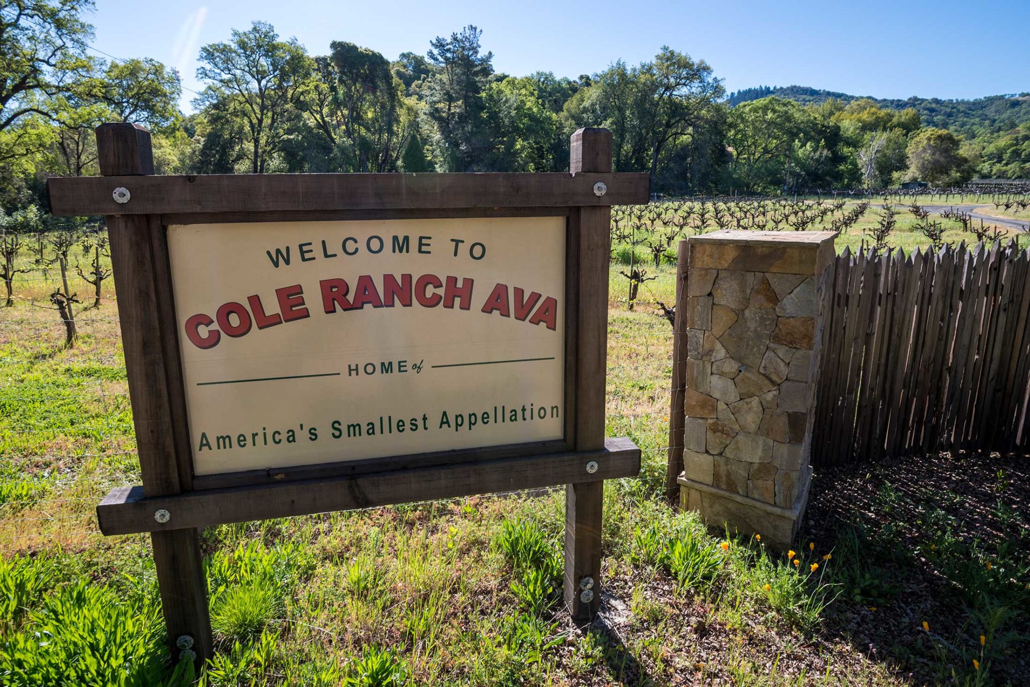Cole Ranch Vineyard - Cobb Wines