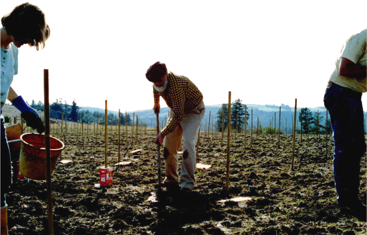 Origins - Cobb Wines